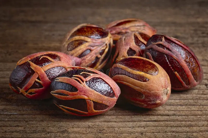 What is Mace Spice? | The Spice People